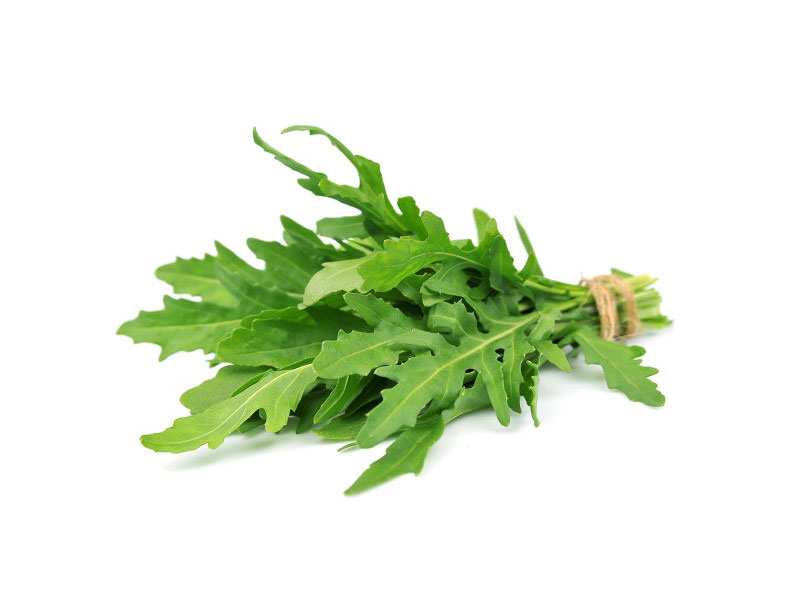 Rucola selvatica (Diplotaxis tenuifolia) - Azienda Bonato Piante Aromatiche